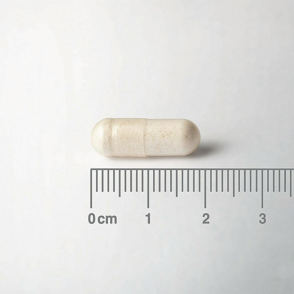 Lamberts Biome Balance Travel 30 capsules | medino